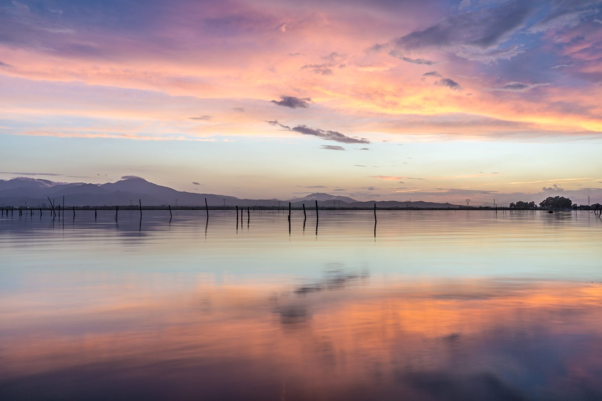 Stagno di Santa Gilla: una delle più importanti aree umide d'Europa